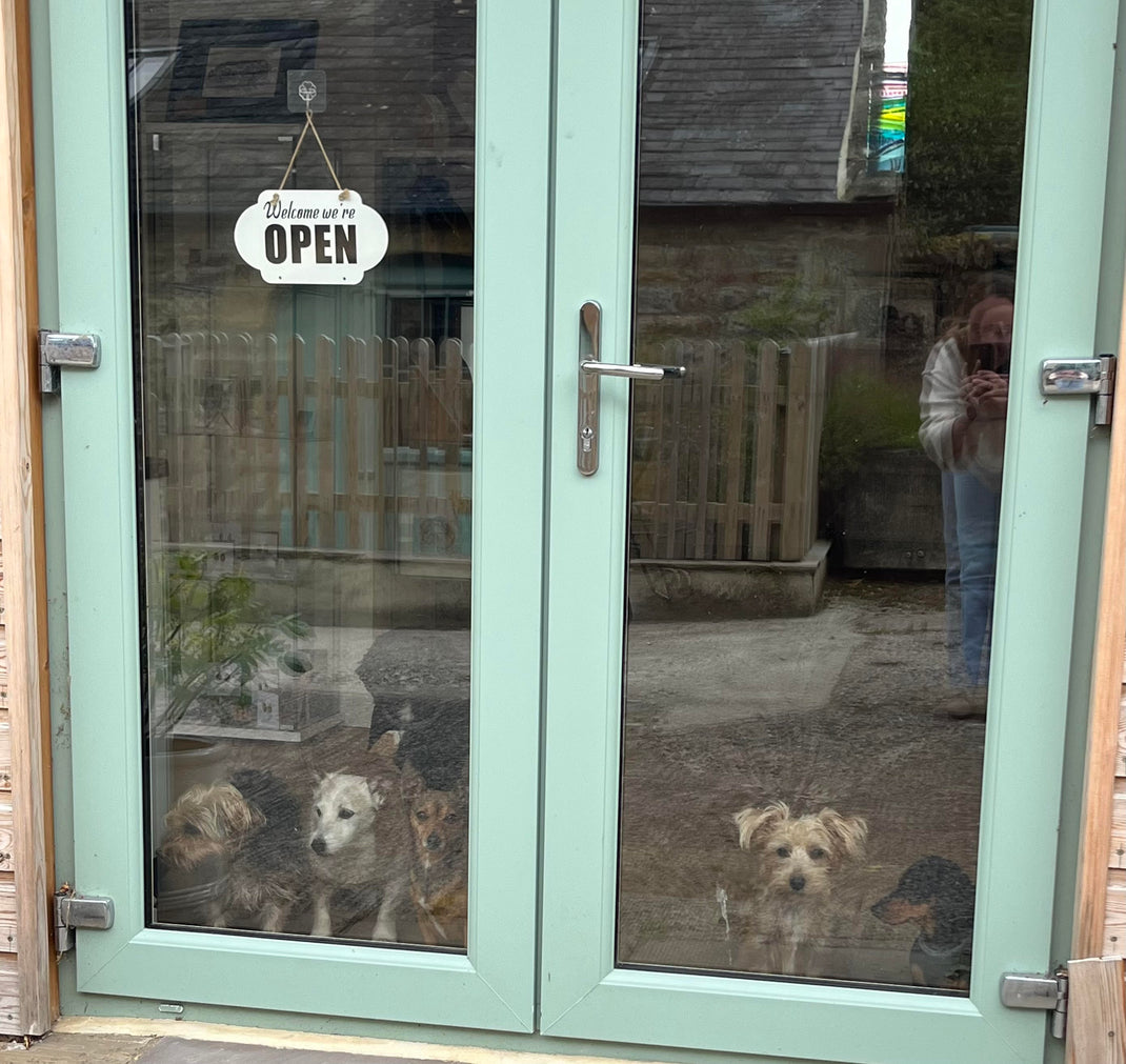 About Us – The Bellwether Gallery